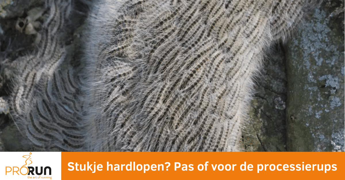 Stukje hardlopen? Pas op voor de processierups - Je PR begint bij ProRun